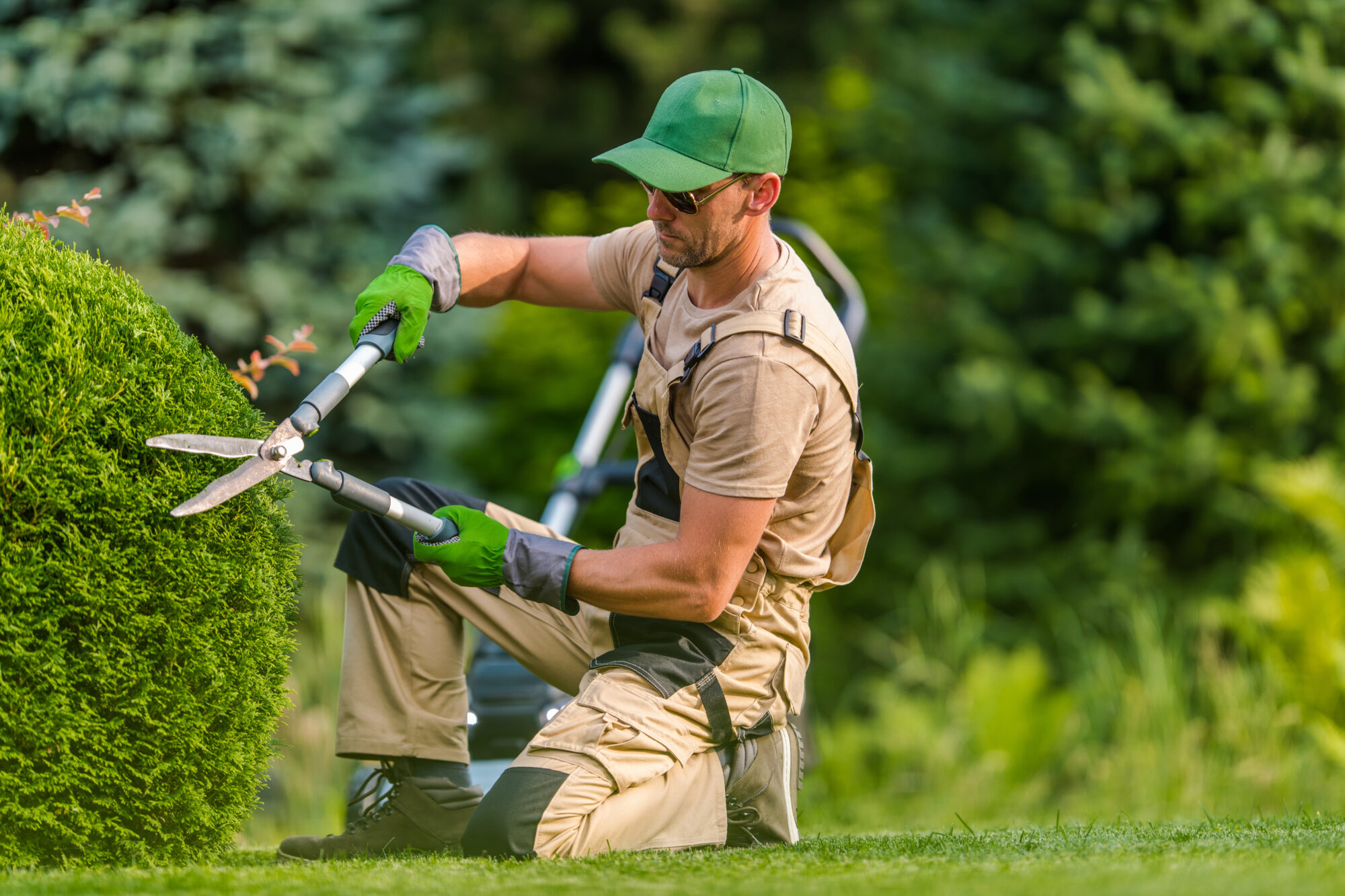 How does landscaping affect my home security?